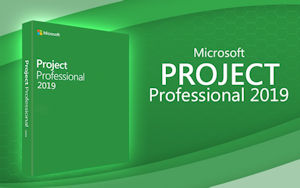 Compatibility testing with MS Project Desktop 2019 is now complete ...